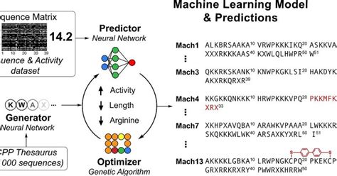Anitha Vijayakumar On Linkedin Optimizing Peptides In Tensorflow 2