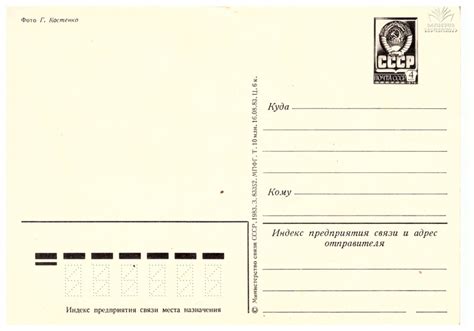 Iverieli სარვამარტო მისალოცი ბარათი გილოცავთ დღესასწაულს ძვირფასო ქალებო