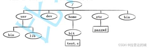 【linux】常见指令（一）linux 显示当前目录 Csdn博客