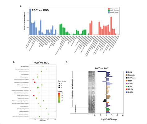 Transcriptome Analysis Of Resting Rgd Hemocytes A Top 60 Go