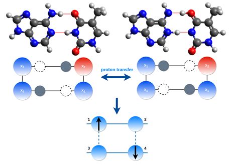 Top Row Two Resonating Proton Configuration Before Left And After