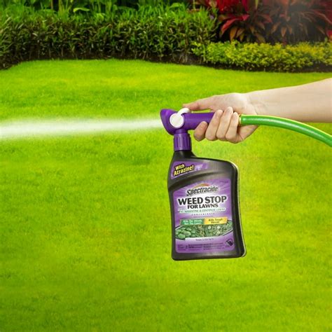 Best Weed Killer For Centipede Grass At Jonathan Hubbard Blog