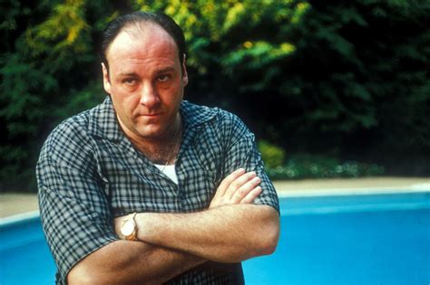 ‘the Sopranos Hbo Almost Cut Tony Sopranos Most Famous Kill Indiewire