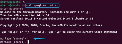 how to install mariadb on ubuntu 24 04 greenwebpage community