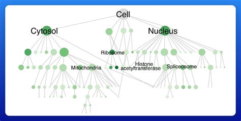 In Order To Begin To Decipher The Structure Of The Cell We Need To Integrate Multiple Types Of