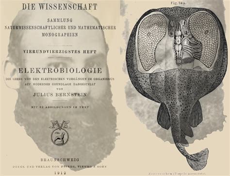 Julius Bernstein Portraits Of European Neuroscientists