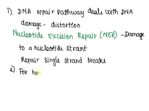 SOLVED QUESTION What IS NOT A Type Of DNA Repair Nucleotide Excision Transduction