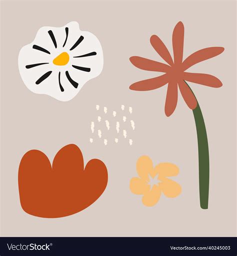 Aesthetic Flower Shape Design Element Set Vector Image