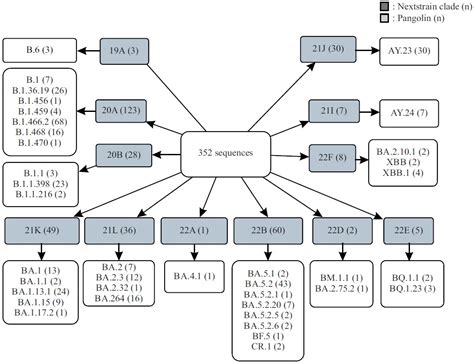 Dynamic Evolution Of Sars Cov 2 In West Sumatra Analyzing S Gene Mutations Across Variants And