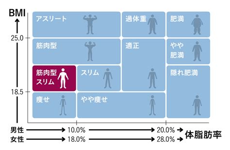 【徹底解説】体脂肪とシックスパック（割れた腹筋）の関係