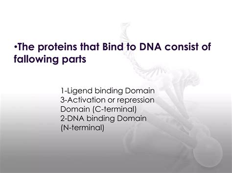 Dna Binding Domains Pptx