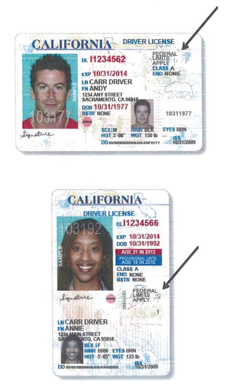 Document Number On California Driver S License Pagpv