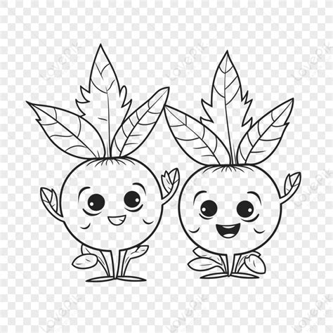 아이 개요 스케치 드로잉을위한 만화 무와 양상추 색칠 페이지 벡터유기체라인 아트 Png 일러스트 무료 다운로드 Lovepik