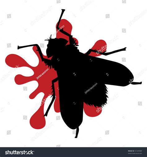squashed fly stock vector illustration 31439989 shutterstock