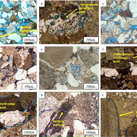 Microscopic Pore Structure Characteristics Of Low Permeability Download Scientific Diagram