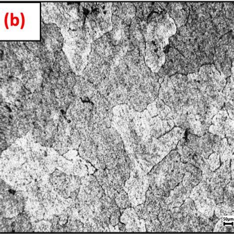 Microstructure Of As Cast A Matrix B 2 Wt Bla And C 4 Wt Bla Download Scientific