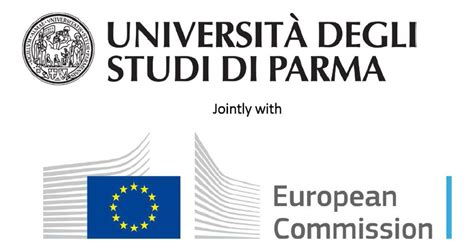 Workshop Robust Analysis Of Multivariate Data Dipartimento Di Scienze Economiche E Aziendali