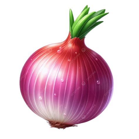 Ai는 투명한 배경에 양파를 생성했습니다 Ai는 투명한 배경에 양파를 생성했습니다 투명한 배경에 양파 Ai가 양파를 생성했습니다 Png 일러스트 및 이미지 에 대한