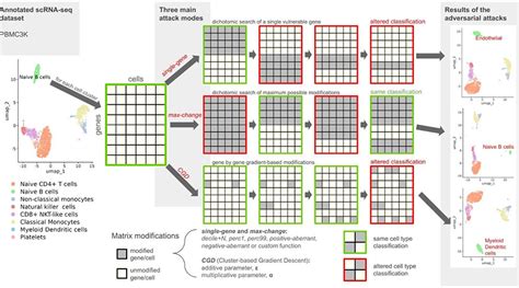 adverscarial assessing the vulnerability of single cell rna sequencing classifiers to