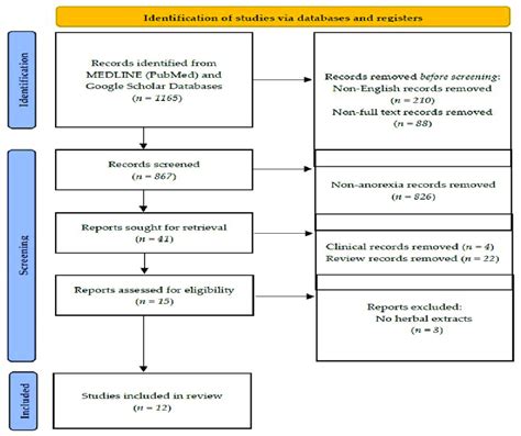 flow chart of article inclusion protocol identification through