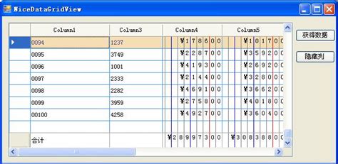 C 具有合计行美化自定义列的DataGridView NiceDataGridView 一颗红心 博客园