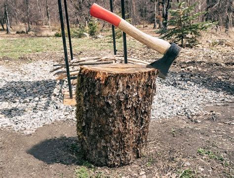 Premium Photo Axe In Tree Stump Outdoors Tool For Wood Chopping