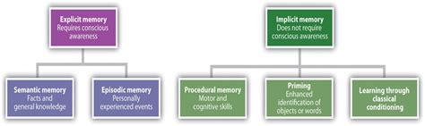 71 How Memory Functions Introduction To Psychology A Critical Approach