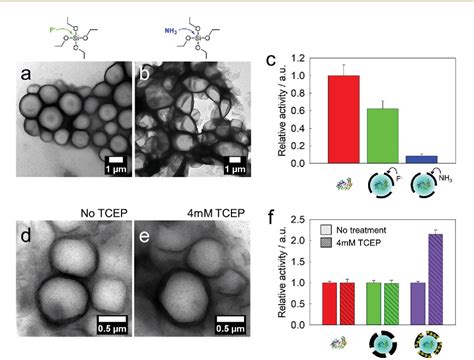 Figure 3 From Aqueous Core And Hollow Silica Nanocapsules For Confined