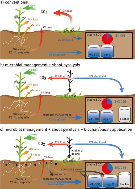 Relative Carbon Sequestration Efficiency Cse Of Above And Belowground