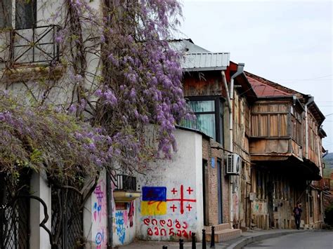 ცის ვაზი ძველ თბილისში აივნებზე მოხვეული იასამნისფერი გლიცინიები