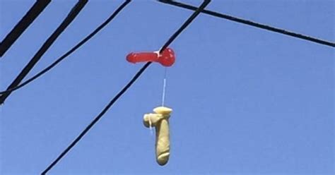 Hundreds Of Sex Toys Dangling From Wires In Portland Provoke Laughter And Blushes