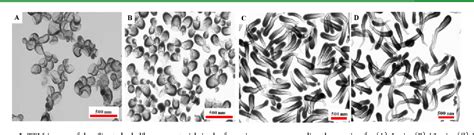 Figure 5 From Shape Tunable Hollow Silica Nanomaterials Based On A Soft Templating Method And