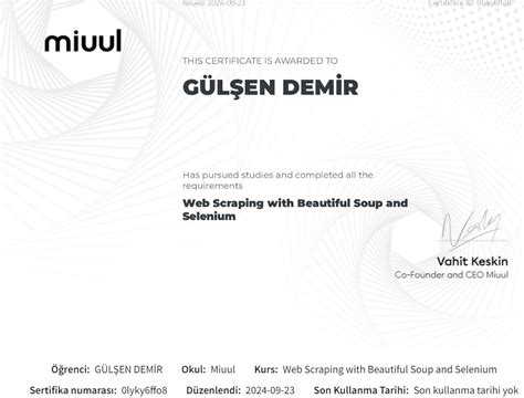 gÜlŞen demİr linkedin‘de miuul webscraping beautifulsoup selenium