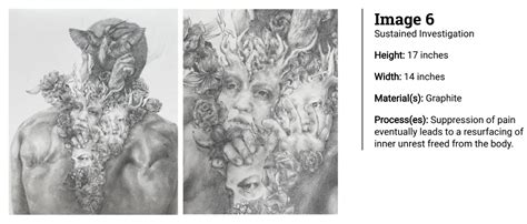 Sustained Investigation — Ap Art Tutors