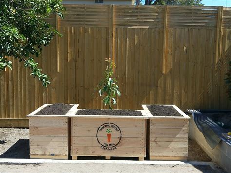 Large Rectangle Bin Dan The Veggie Bin Man