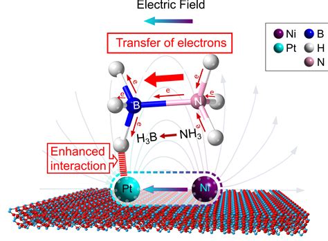 论文发表 王 斌 教师个人主页