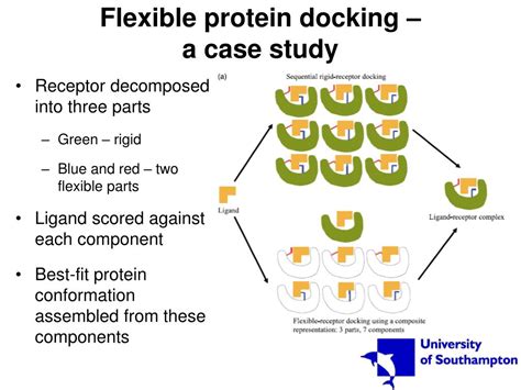ppt flexible protein docking powerpoint presentation free download