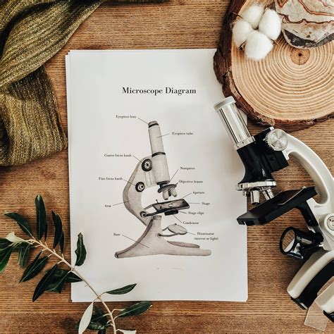 Printable Microscope Guide Digital Download Science Etsy