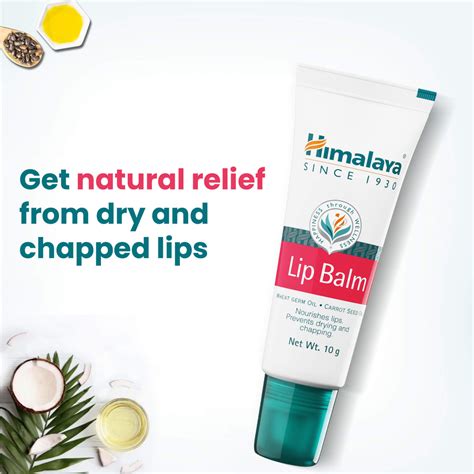 Himalaya Lip Balm 10g Ingredients Uses Reviews Himalaya Wellness