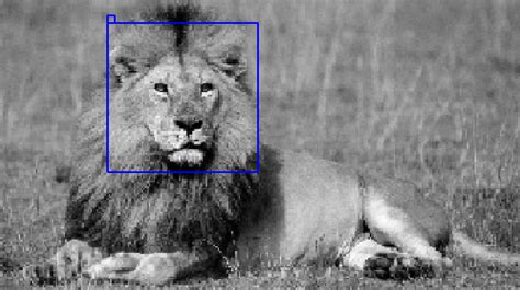 Detection By Sparse Frame