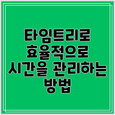 타임트리로 효율적으로 시간을 관리하는 방법