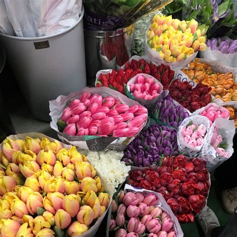 고속터미널 꽃시장 튤립 꽃들어오는 날 네이버 블로그
