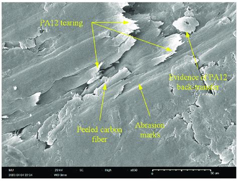 Sem 850× Of The Worn Surface Z Oriented Specimen Shows Marks Of