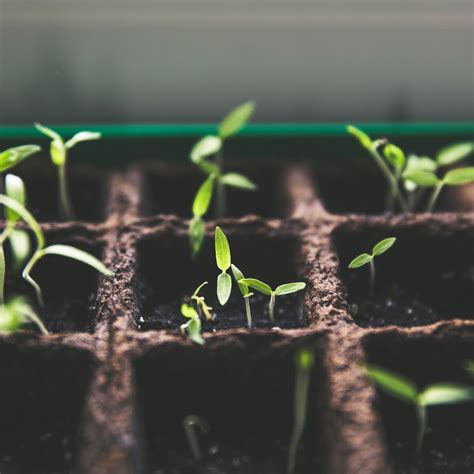 Grow A Beautiful Garden With Home Automation Arduino Blog