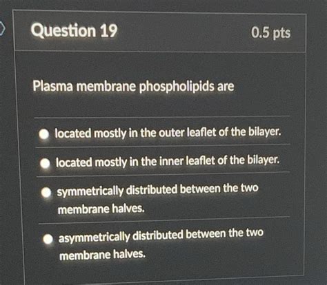 Solved Question 1905 ﻿ptsplasma Membrane Phospholipids