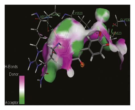 Three Dimensional Molecular Docking Model A Akt1 3mv5 B