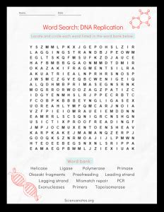 DNA Replication Word Search Puzzle