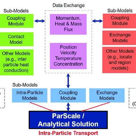 model structure used to account for reactive fluid particle flow that