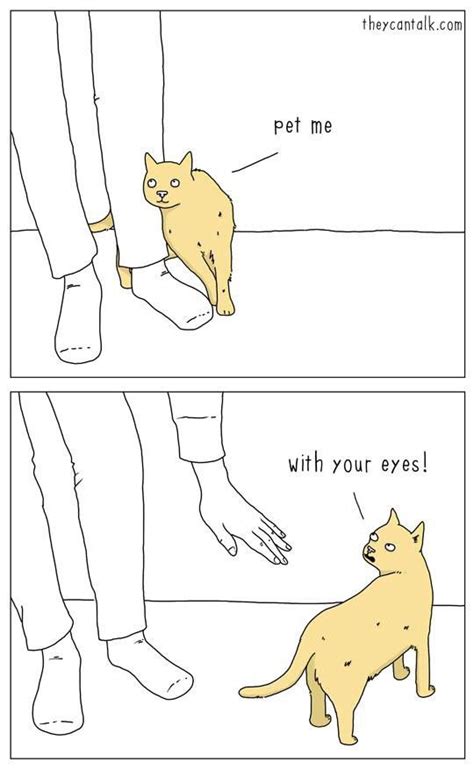 Pin By Katie Robinson On For Laughs Funny Cats Cat Memes Cat Comics
